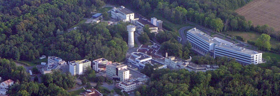 Image Vision leArning - IVA DTIS